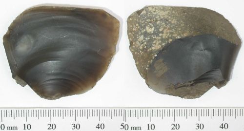 Knowledge Feature – Flakes – Bones, Stones, and Books