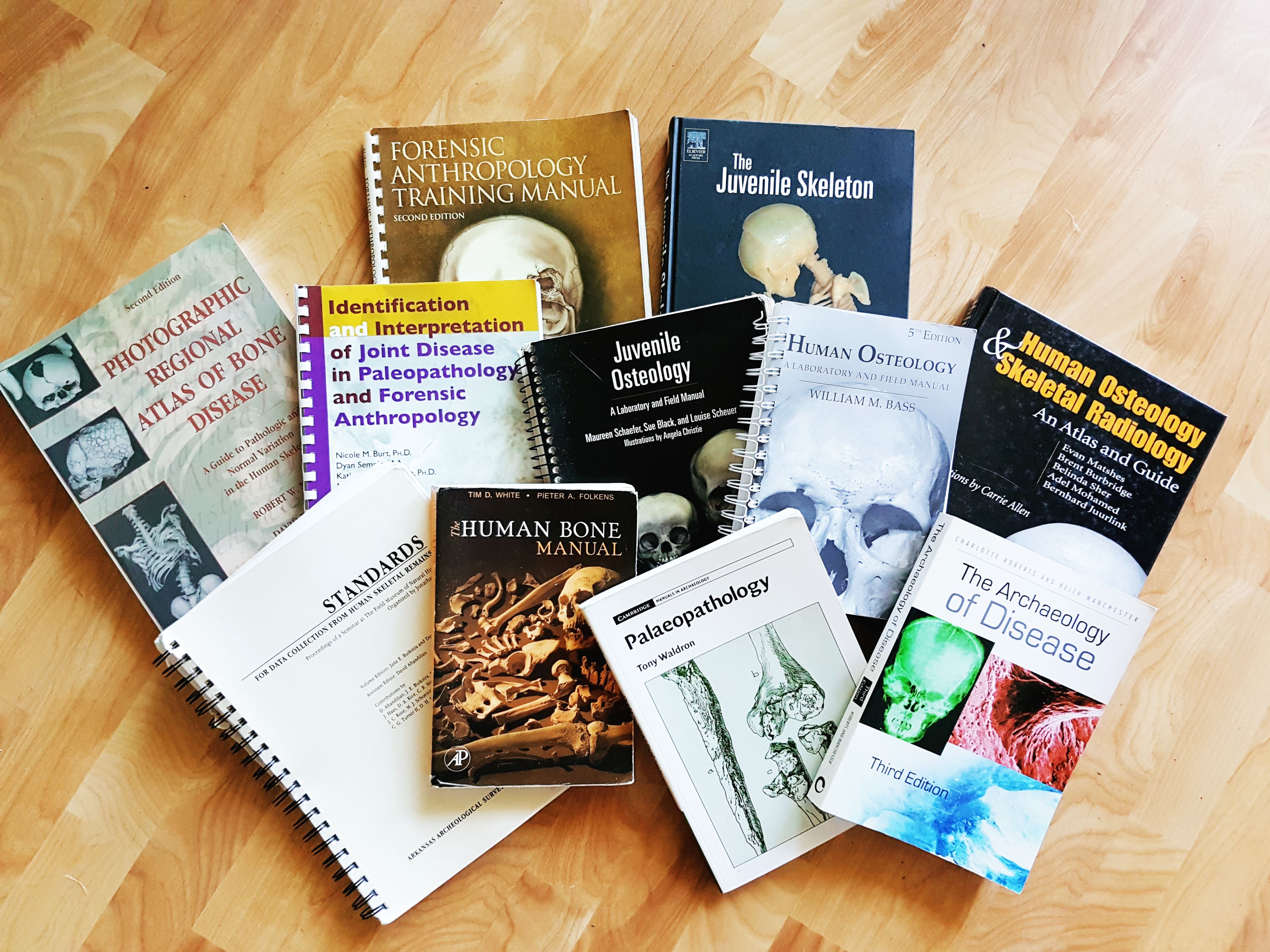 What is an Osteobiography? – Bones, Stones, and Books