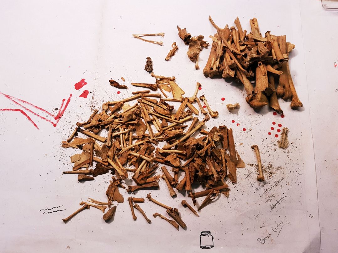 Knowledge Feature – Determining MNI (Minimum Number of Individuals ...