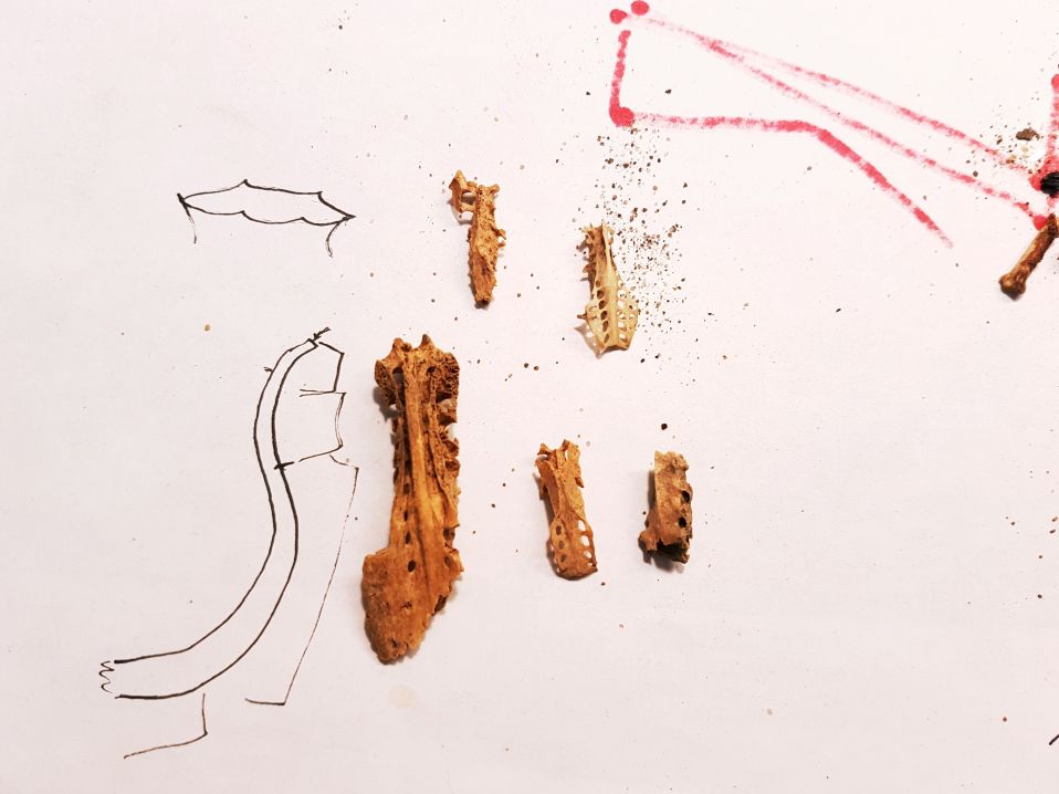 Knowledge Feature – Determining MNI (Minimum Number of Individuals ...